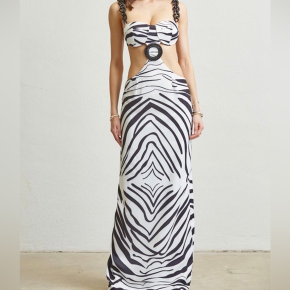 Dresses | Zebra Maxi Dress | Poshmark